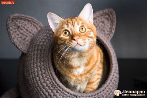 Как связать «Вязаный домик для кота» своими руками фото-мастер-класс от ...