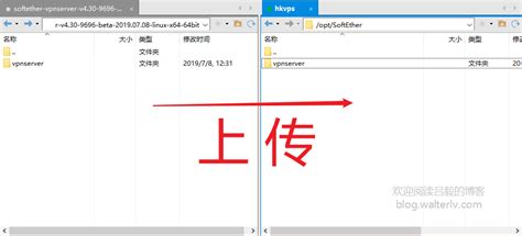 使用 Softether Vpn 在 Vps 和个人电脑之间搭建 Vpn 网络 Walterlv