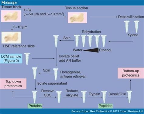 Improving The Proteomic Analysis Of Formalin Fixed Tissue Page 7