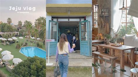 제주 여행 브이로그 ̈ 뚜벅이의 혼자하는 서귀포 맛집and카페 투어하라케케 귤꽃다락 홉히 제주도 스타벅스 1인실 숙소 함덕 고등어회 Jeju Vlog Ep2