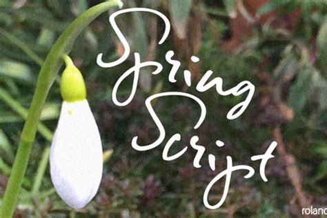 Spring Script Font Roland Huse Design Fontspace