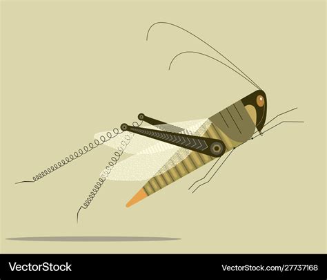 Grasshopper Jump Royalty Free Vector Image VectorStock