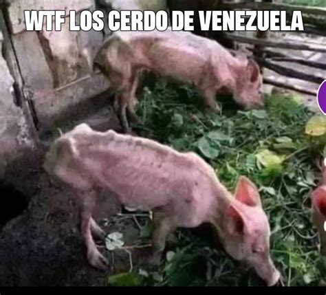 Familia Hoy Se Come Poco Meme Subido Por Cristopherelprolazo Memedroid