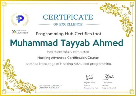 Muhammad Tayyab On Linkedin Cybersecurity Hacking Offensivesecurity Redteamer
