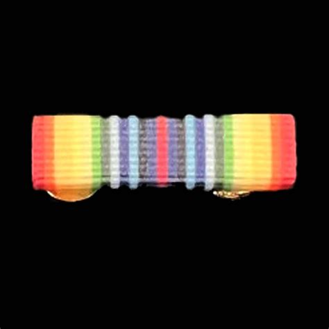 Army Jrotc Ribbons Meaning At Julian Fairfield Blog