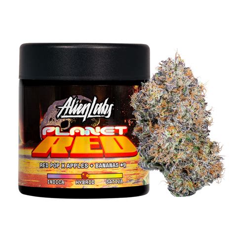 Planet Red Alien Labs Smalls Jane