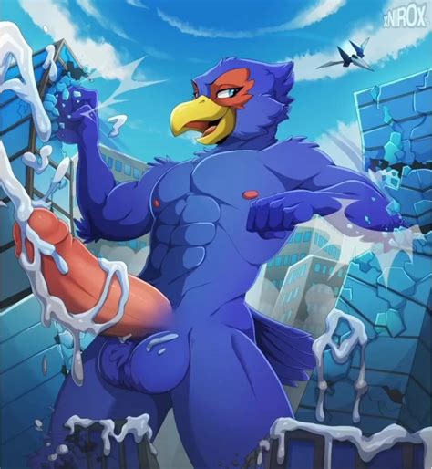 Macro Falco And Fox Compilation 2