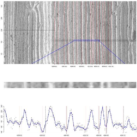 Figure 1 From Functional Clustering Methods And Marital Fertility Modelling Semantic Scholar