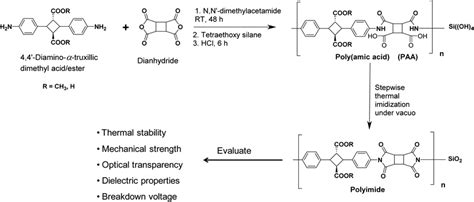 Polymerization Reaction Scheme And The Resulting Biopolyimidesilica