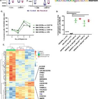 A There Is Not A Significant Difference Between Single Nucleotide Download Scientific Diagram