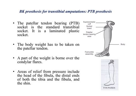 Prosthesis Pdf