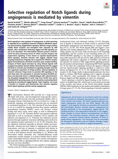 Pdf Selective Regulation Of Notch Ligands During Angiogenesis Is