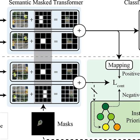 The Contrastive Learning Pattern At Different Levels A Image Level