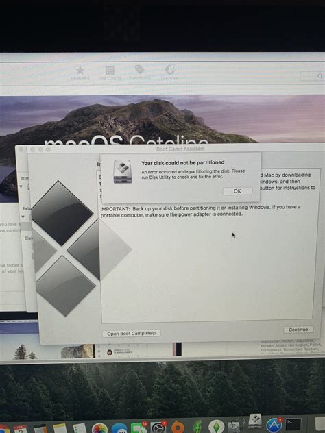 could not partition disk r bootcamp