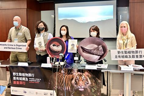 葛珮帆擬提私人草案 走私野生動植物列有組織及嚴重罪行 獨媒報導 獨立媒體