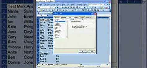 How To Format Spreadsheets In Microsoft Office Excel « Microsoft Office