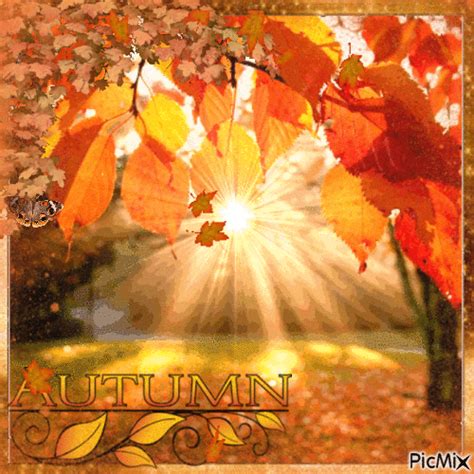 Autumn Leaves Falling  Fall Is In The Air Stars Dazzle In The