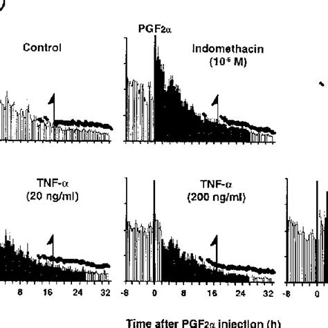 Effect Of Intraluteal Application Of Tnf α 20 200 And 2000 Ng Ml Or
