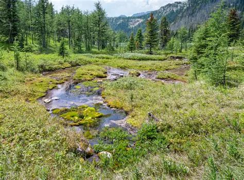 Imágenes De Parque Provincial Monte Assiniboine Descarga Imágenes