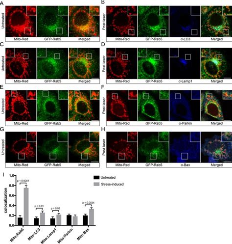Figures And Data In Rab5 And Alsin Regulate Stress Activated