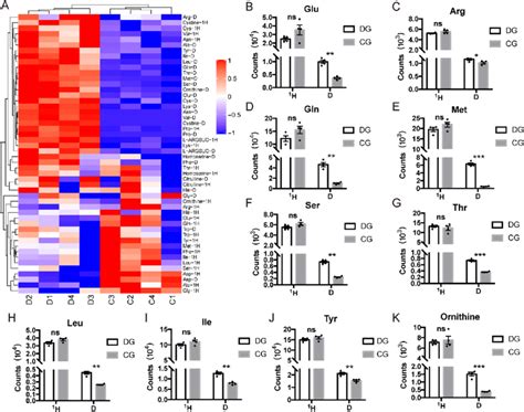 Effect Of Dietary D 2 O Supplementation On Amino Acid Metabolism In The Download Scientific