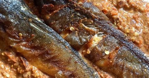 Resep Lele Sambel Kacang Oleh Fhitria Budiyanto Cookpad