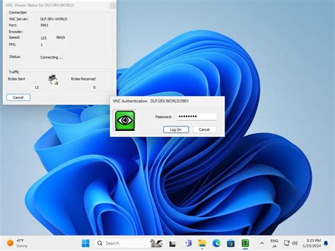 FreeBSD 14 Configure VNC Server Server World