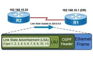OSPF Part OSPF Neighbor States OSPF Neighbor Forming Process