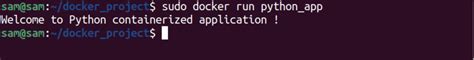How To Install And Use Docker On Ubuntu 2404 Linux Genie