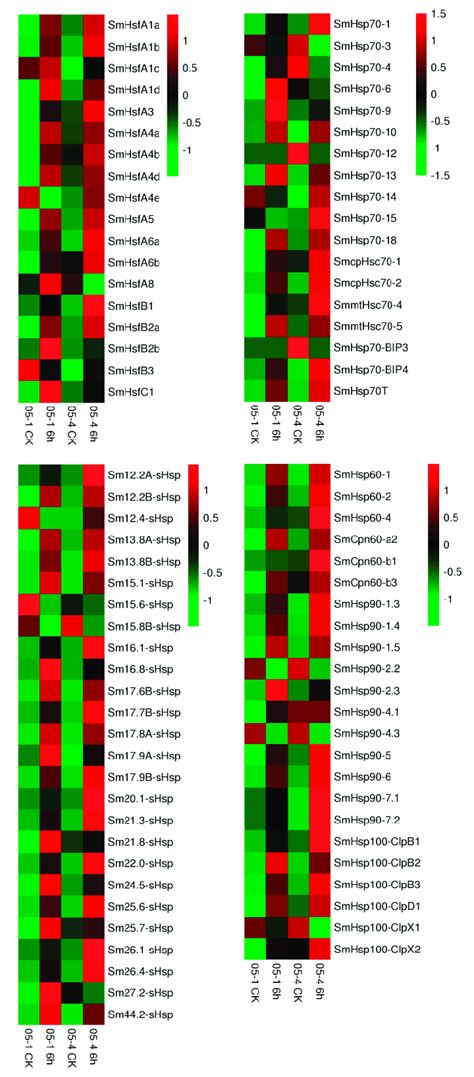 Expression Analysis Of Eggplant Hsf And Hsp Genes Raw Data Were From Download Scientific