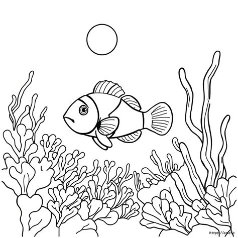 Pez Payaso Para Colorear