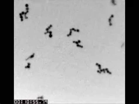 Self Assembling Nanotech Circa 2014