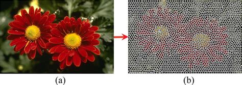 Process Of Superpixels Generated By Slic A Original Image B Download Scientific Diagram