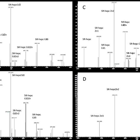 Deconvoluted Native Ms Spectra Of 10 μm 5r Hepcidin And 20 μm Cdii