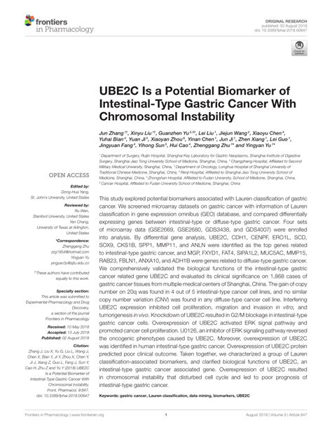 Pdf Ube2c Is A Potential Biomarker Of Intestinal Type Gastric Cancer