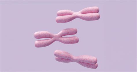 Les Maladies Chroniques Un Privilège Féminin