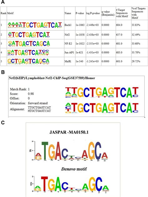 Nrf2 Tfbs Motif Enrichment Analysis A Enrichment Of Known Motifs Download Scientific Diagram