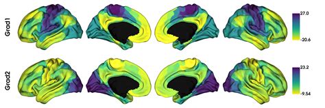 Tutorial 1 Building Your First Gradient — Brainspace 014 Documentation