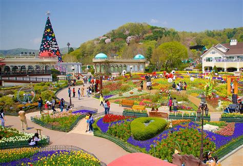 Hà Nội Seoul Nami Namsan Tower Đại Học Kyonghee Everland Cv