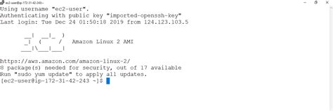 how to download and install chef in amazon ec2 linux instance ktexperts