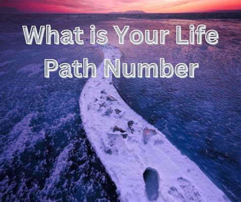 Repeating Number Your Life Path Number