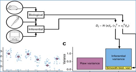 Differential Analysis Of RNA Seq Incorporating Quantification Uncertainty RNA Seq Blog