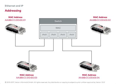 Ethernet C 寻址 Vector E Learning