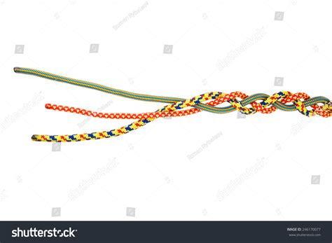 Loops Cords Different Diameter Collection Photos Stock Photo 246170077 Shutterstock