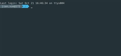 终端环境：6 个强大的 Zsh 提效插件 Poloxue S Blog