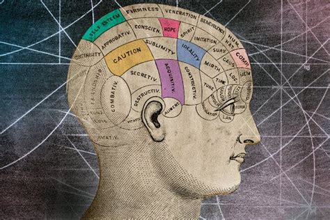 Two Theories Of Consciousness Faced Off The Ref Took A Beating The
