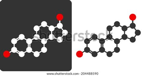 Estrogen Estradiol Female Sex Hormone Molecular Stock Vector Royalty