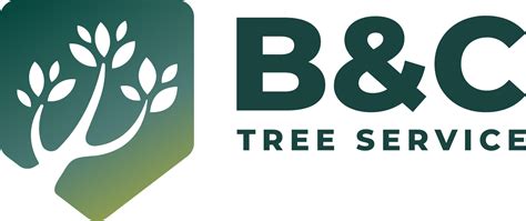 Phoenix And East Valley Tree Trimming And Removal Experts Bandc Tree Service