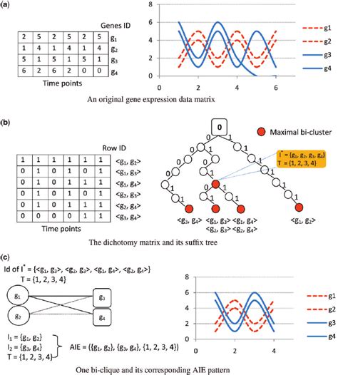 a suffix tree and a bi clique search method are combined for aie download scientific diagram