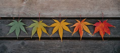 Web Gui Is Now End Of Life Thinkwise Community